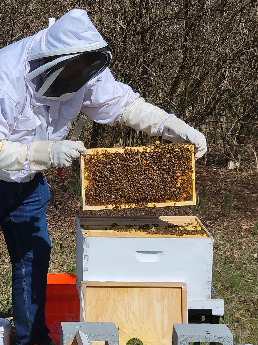 Beekeeping for Veterans - Apiary Select