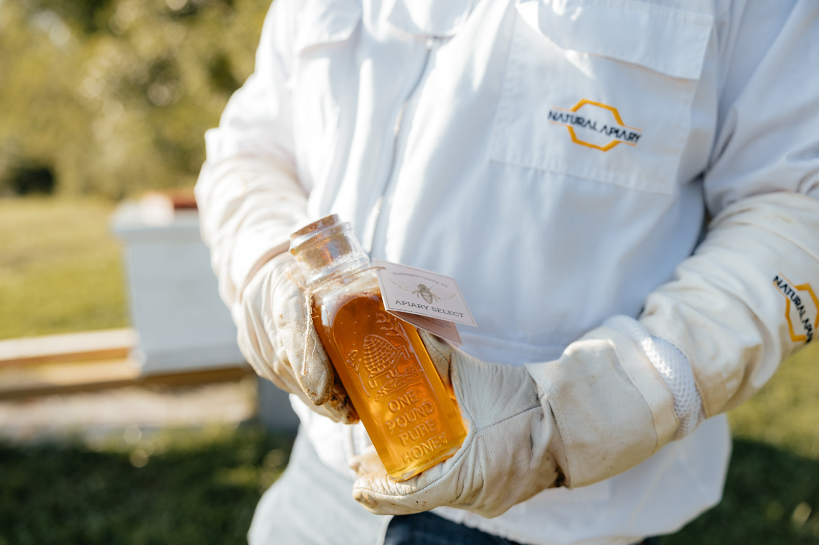 Celebrate National Honey Month: Honey, Honeybees, and Their Crucial Role in Our Ecosystem ...